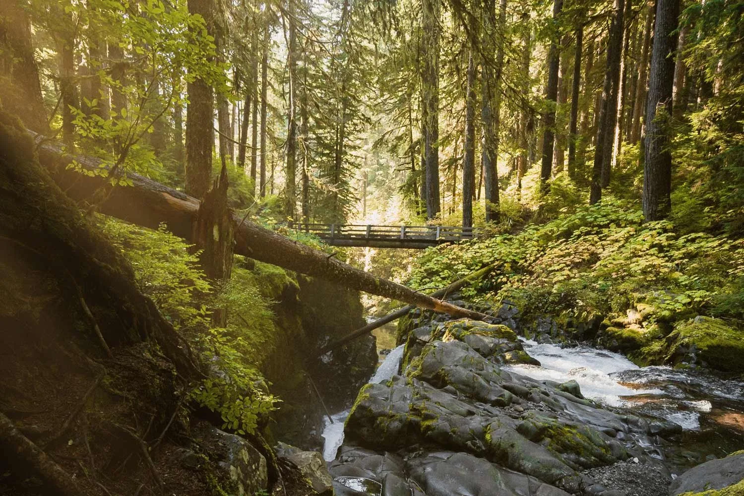Canada Guided Hiking Tours