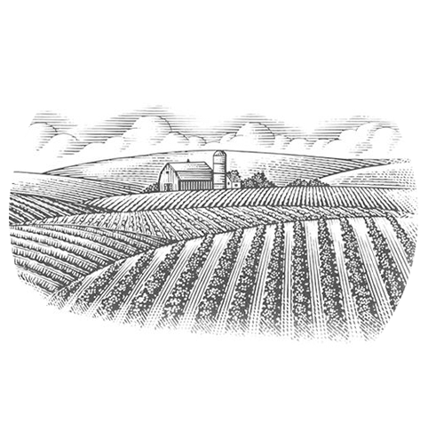 Flanders Dairy Products