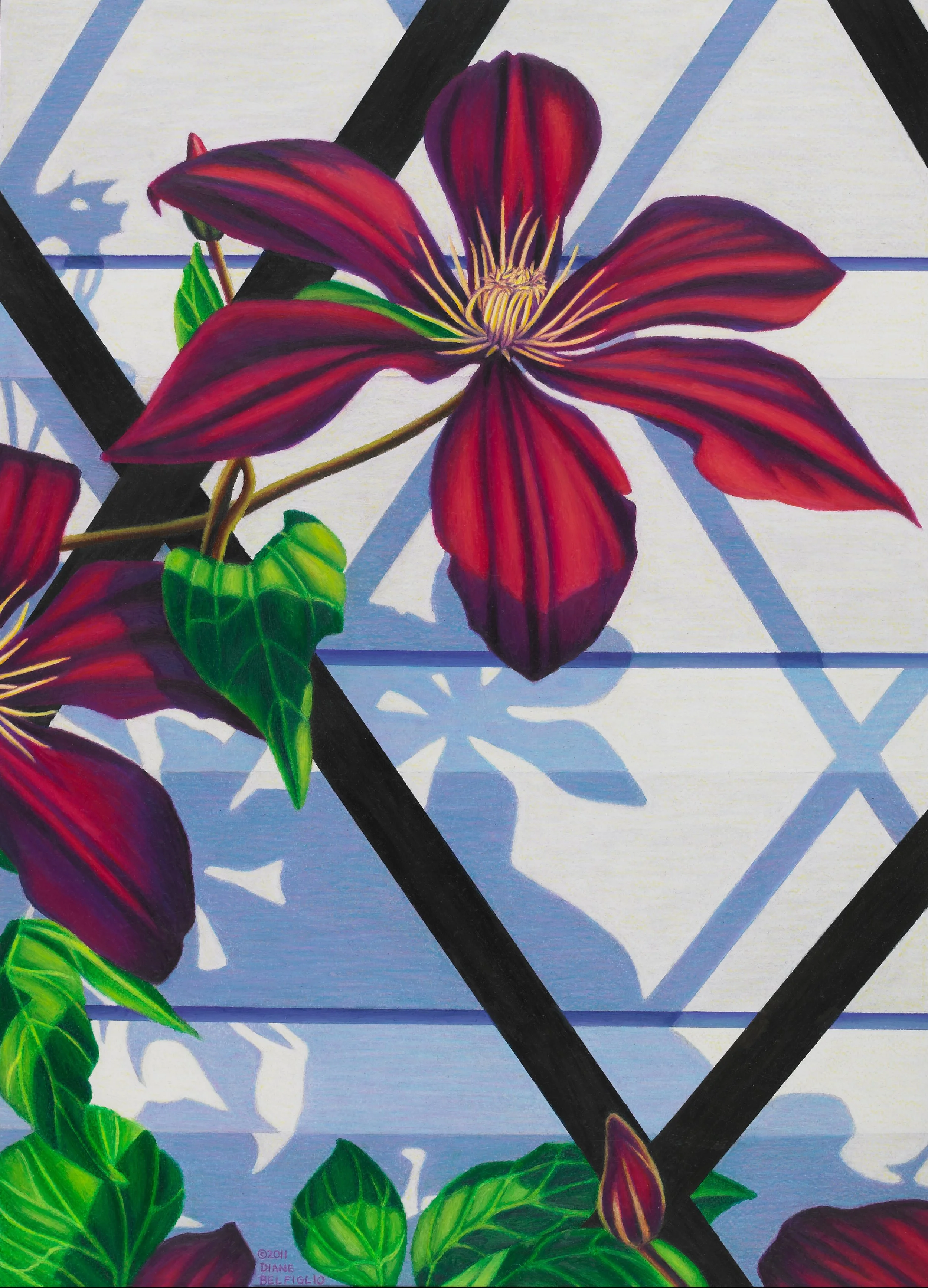 Exhibition, Diane Belfiglio — Zanesville Museum of Art