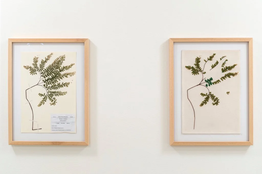 Beaded Botanicals — Carrie Allison