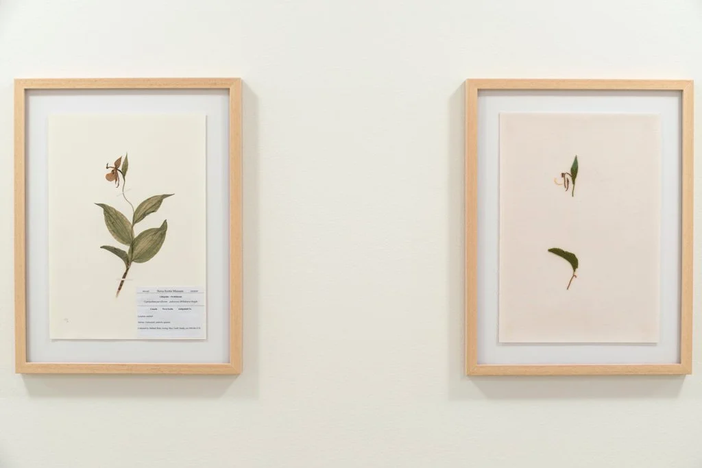 Beaded Botanicals — Carrie Allison
