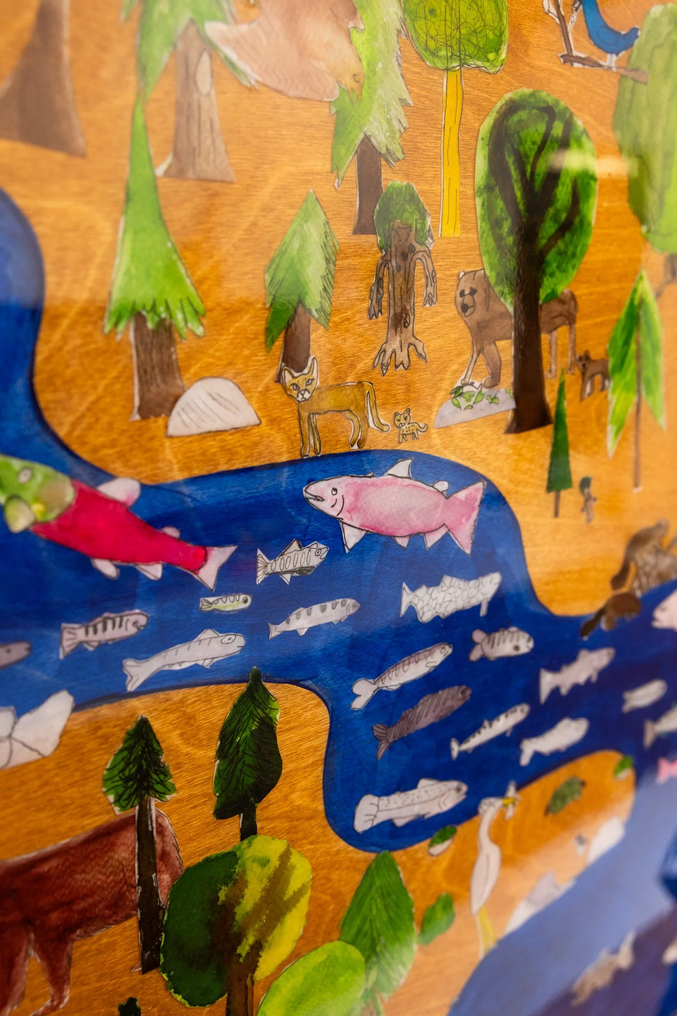 "Life Cycle of a Salmon" - 11x17" Art Print by Erin’s Upper Elementary ...