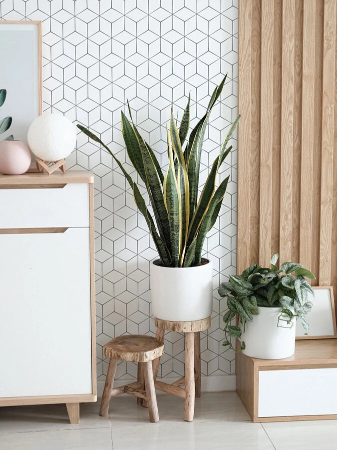 Brighten Your Home With These Eco-Friendly Removable Wallpapers