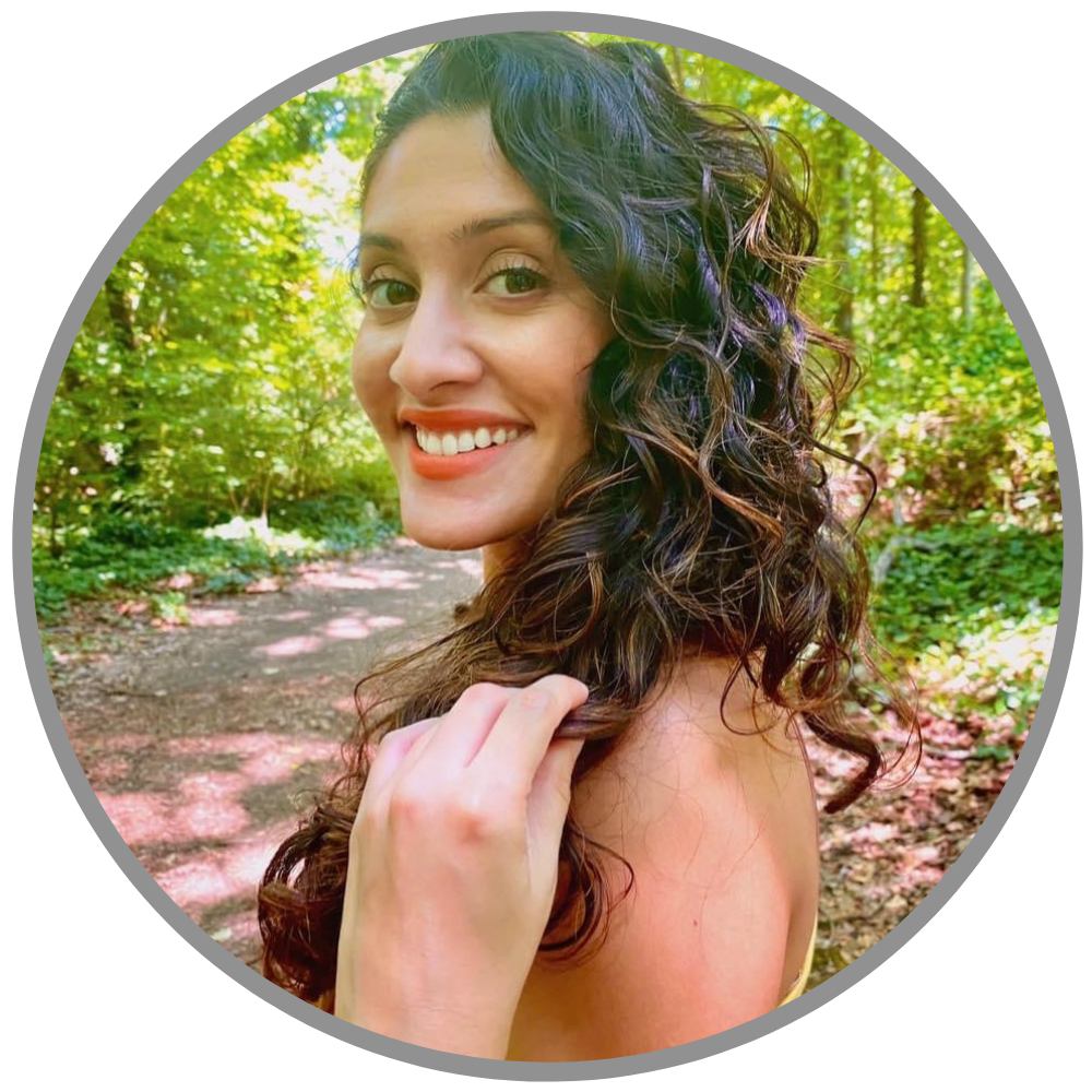 Meditation Teacher Training: Live Online Course — The Path