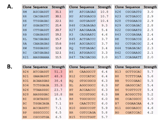 rClone: A Synthetic Biology Tool That Enables the Research of Bacterial ...