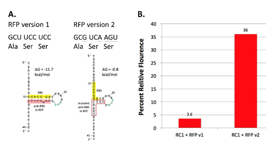 rClone: A Synthetic Biology Tool That Enables the Research of Bacterial ...