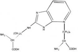 REVIEW: Advanced Glycation End-products (AGEs) in Hyperglycemic ...