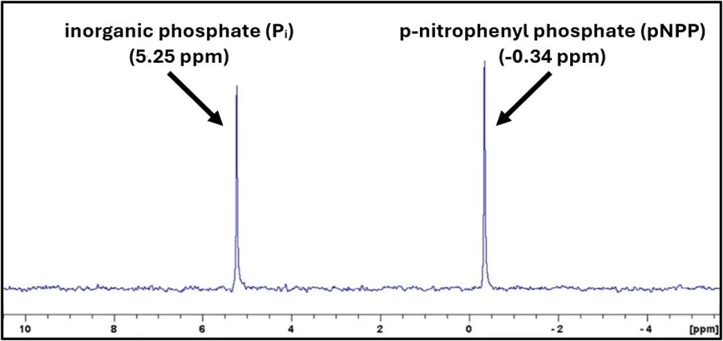 Establishment of a New and Viable Assay to Characterize Wheat Germ Acid ...