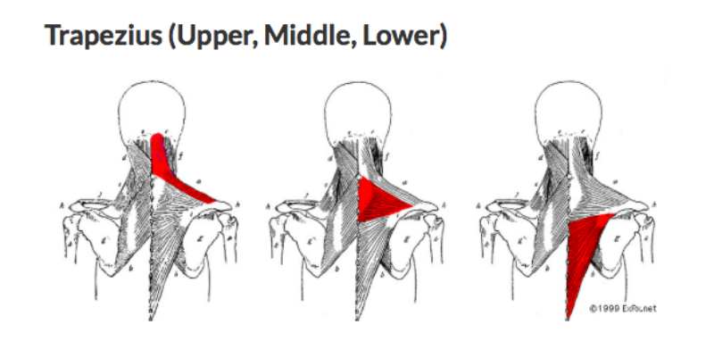 How Low Can You Go? — Mobility on Demand