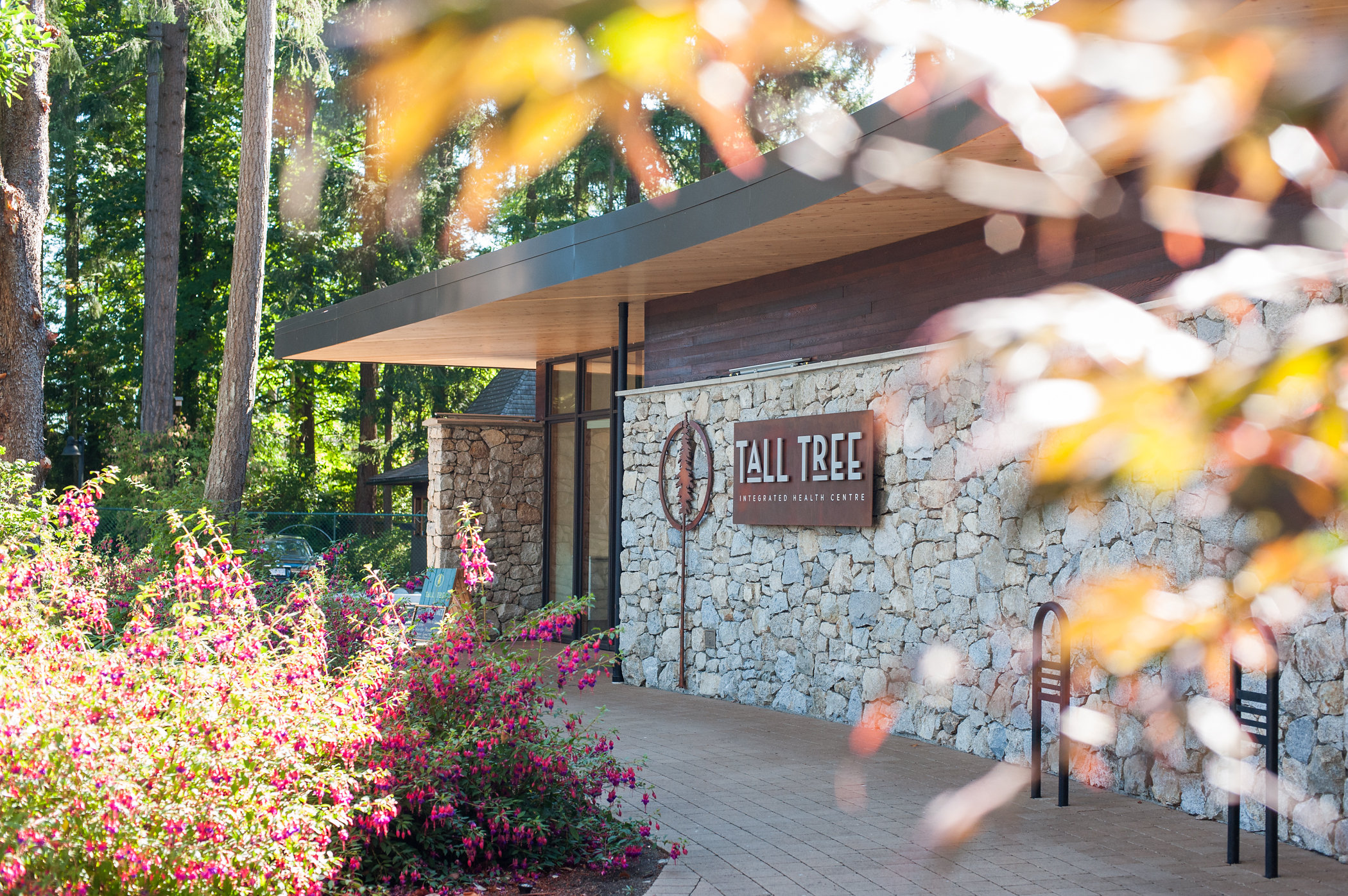 Integrated Health Clinic Talltreehealth