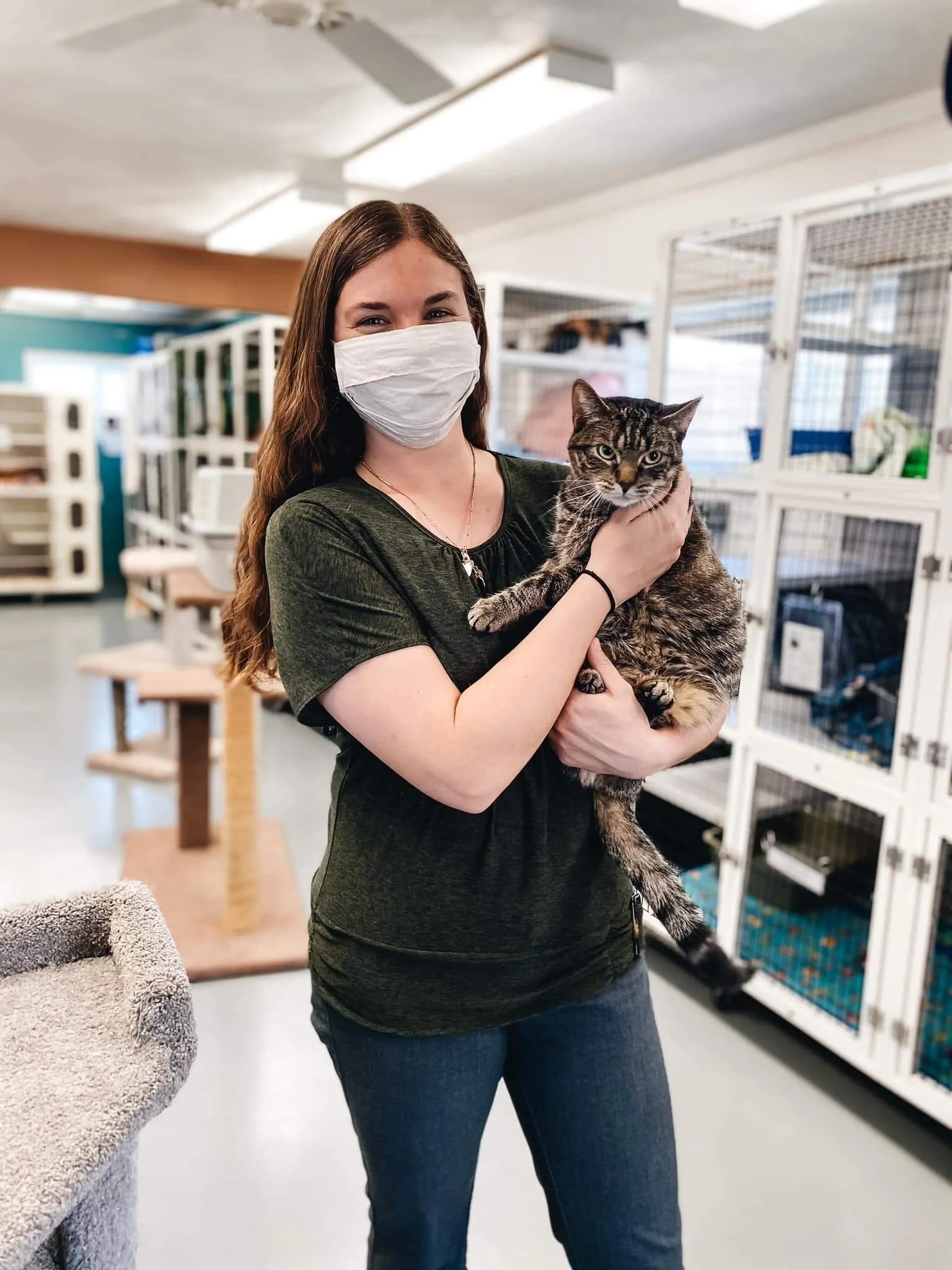 About Us — Creature Comfort Care LLC