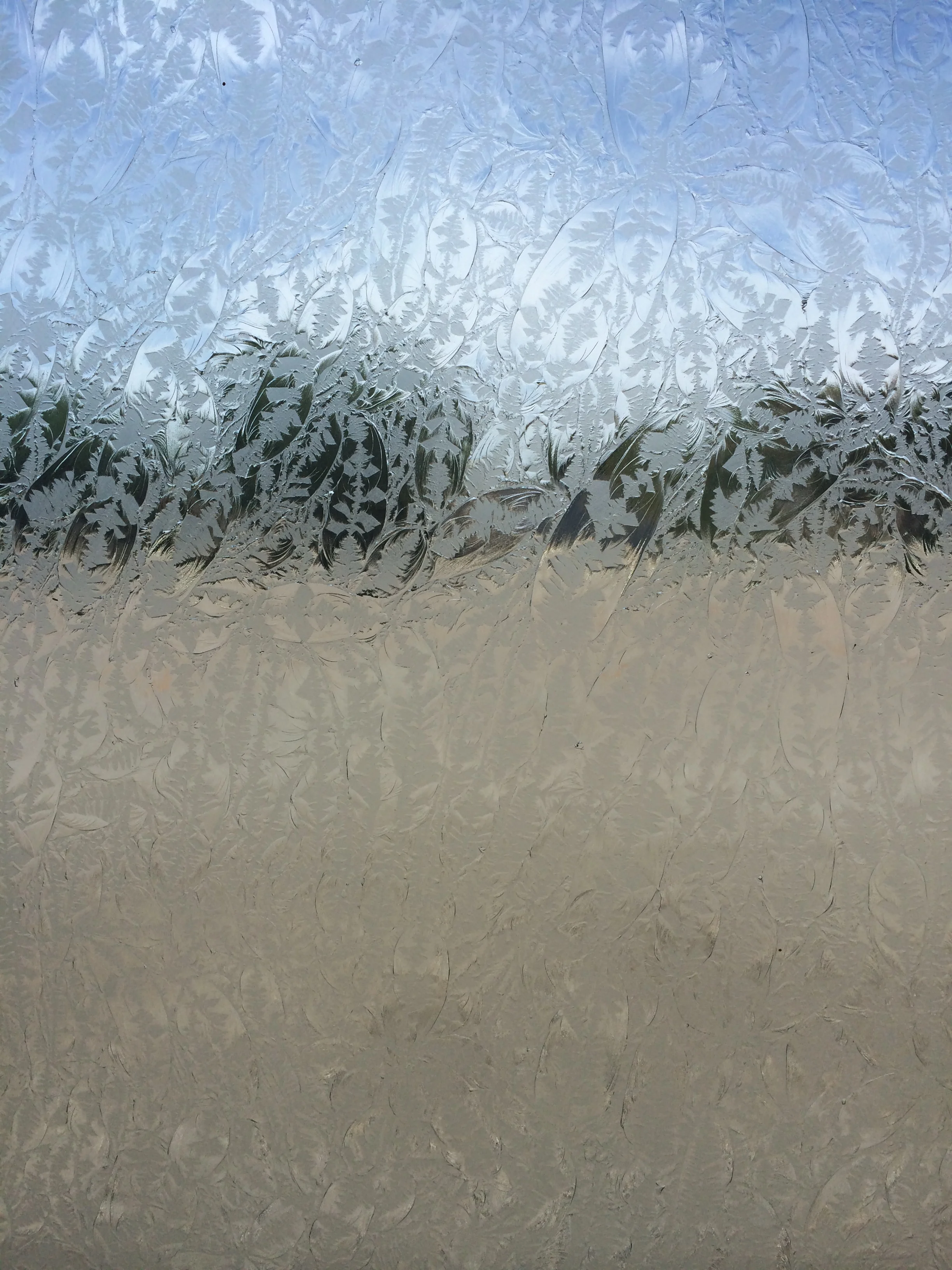 Glass | Residential Windows & Doors, Viridian Smartglass, Obscure ...