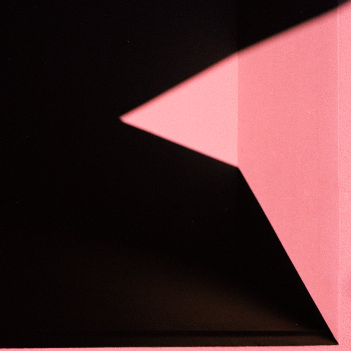 Pink — KYLE HOFFMANN