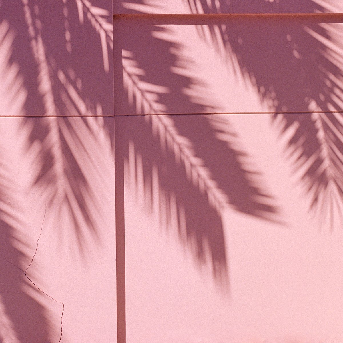 K.H Photographs.Platinotypes