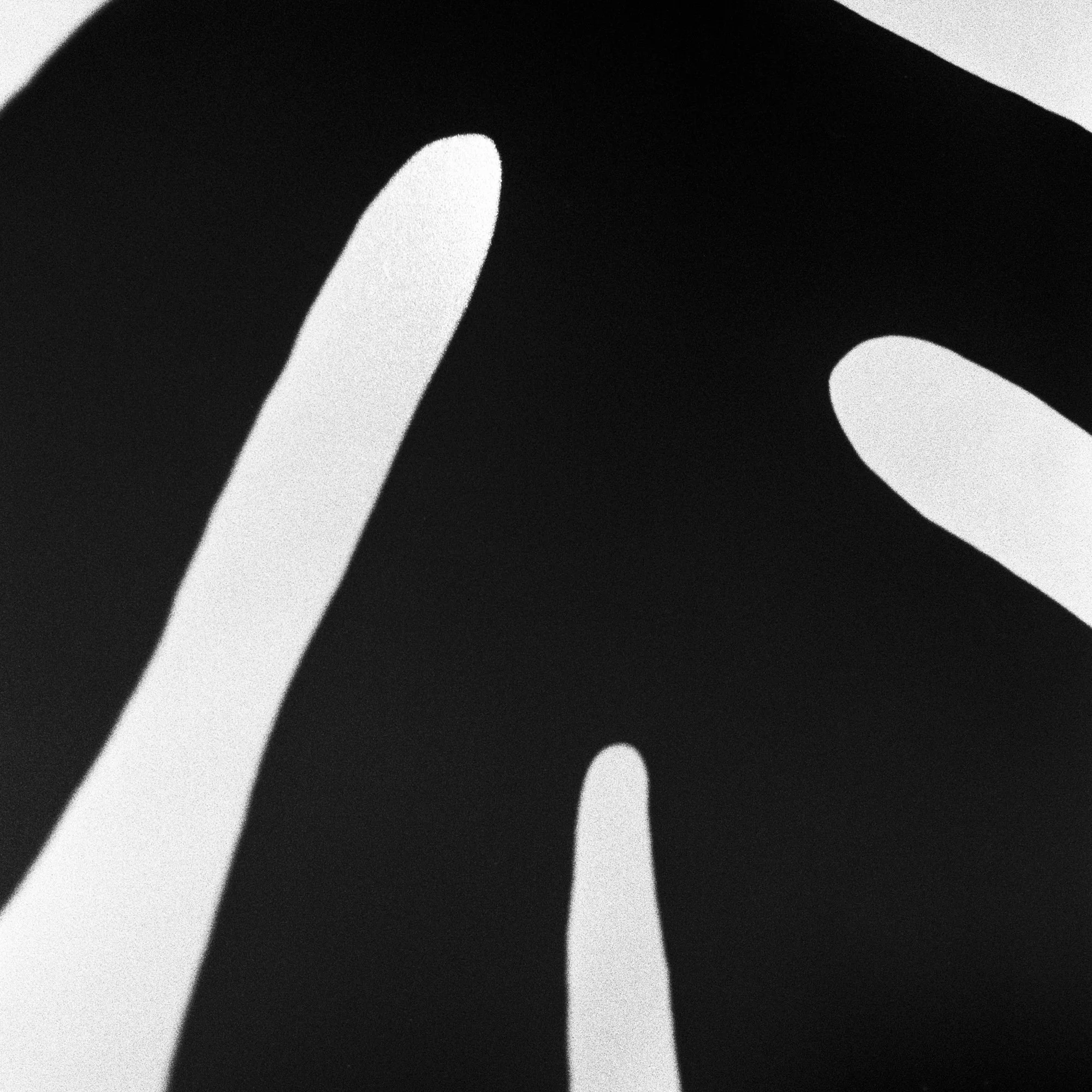 K.H Photographs.Platinotypes