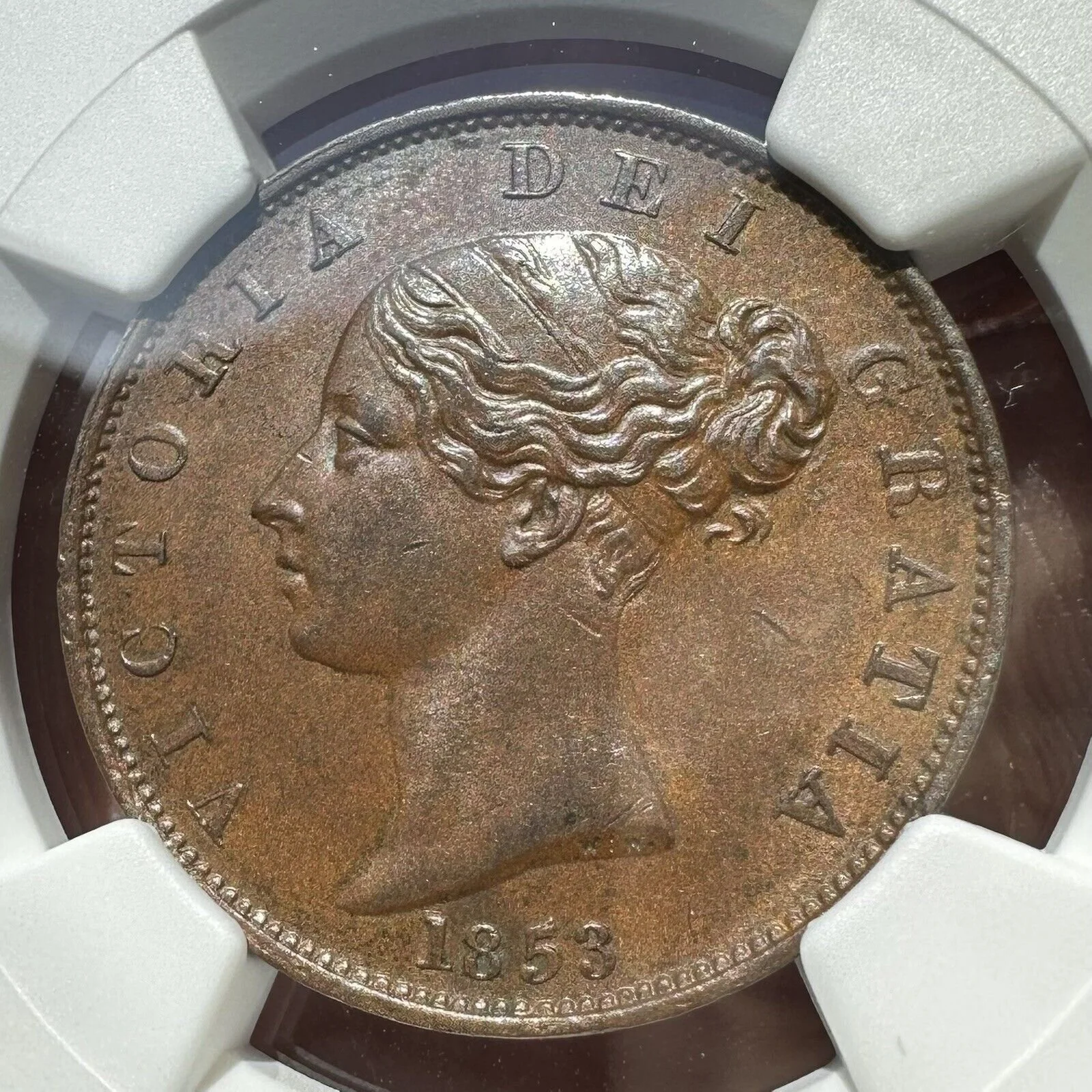 NGC Graded Great Britain 1853 1/2P Half Penny Halfpenny MS 62 BN Mint State 62 — Wheeler Antiques