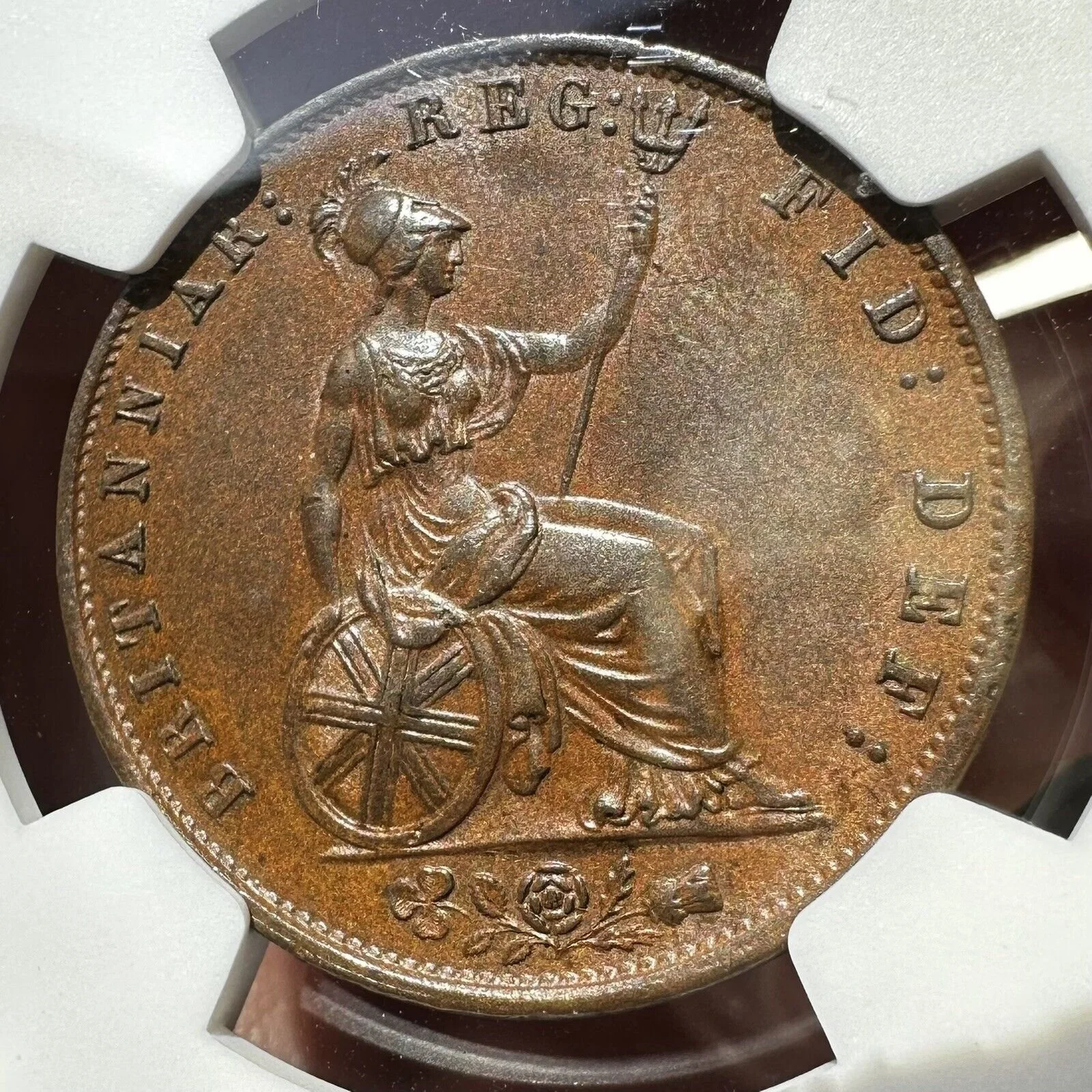 NGC Graded Great Britain 1853 1/2P Half Penny Halfpenny MS 62 BN Mint State 62 — Wheeler Antiques