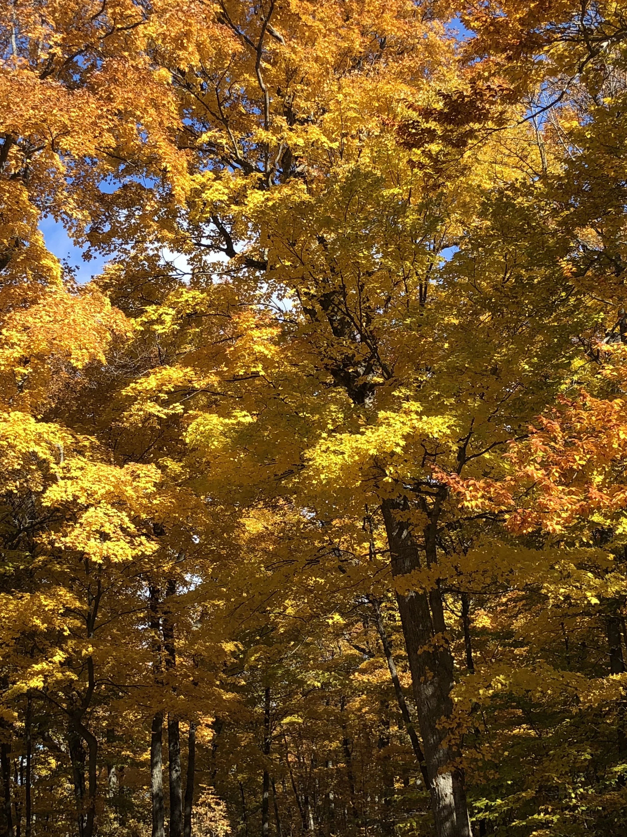 Door County, a pictorial — Outside the Line
