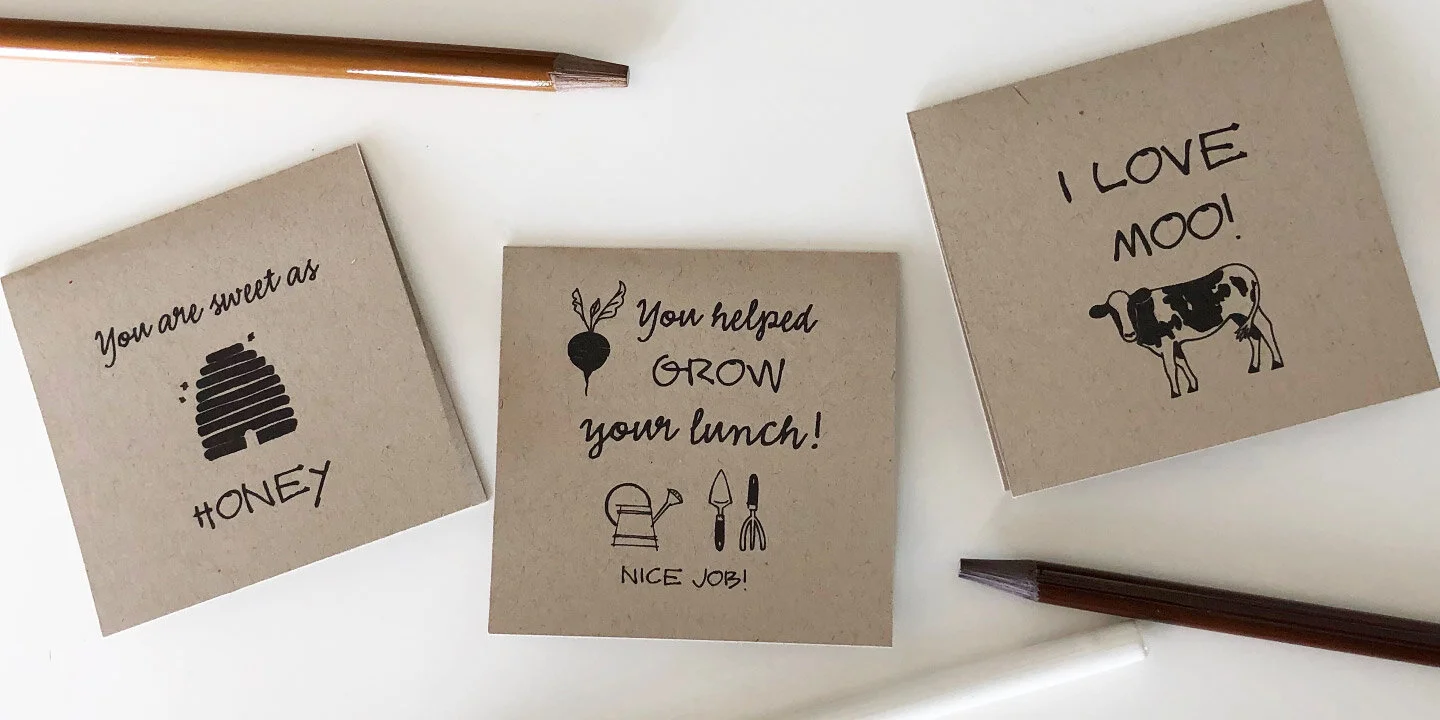 font bundles — Outside the Line