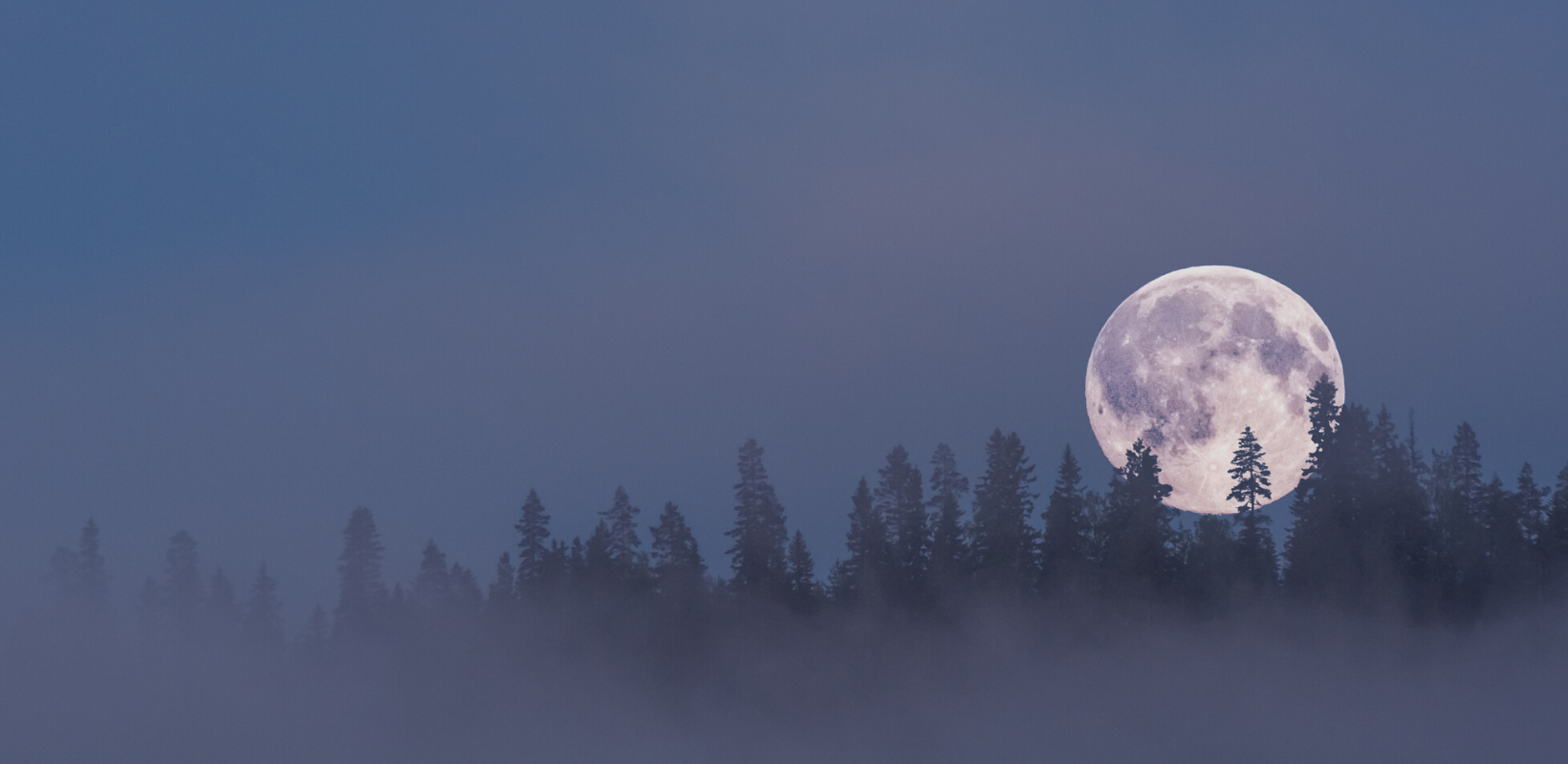 Full Snow Moon Meditation | February 6, 2023 | 6pm — Ladan Holistic Spa