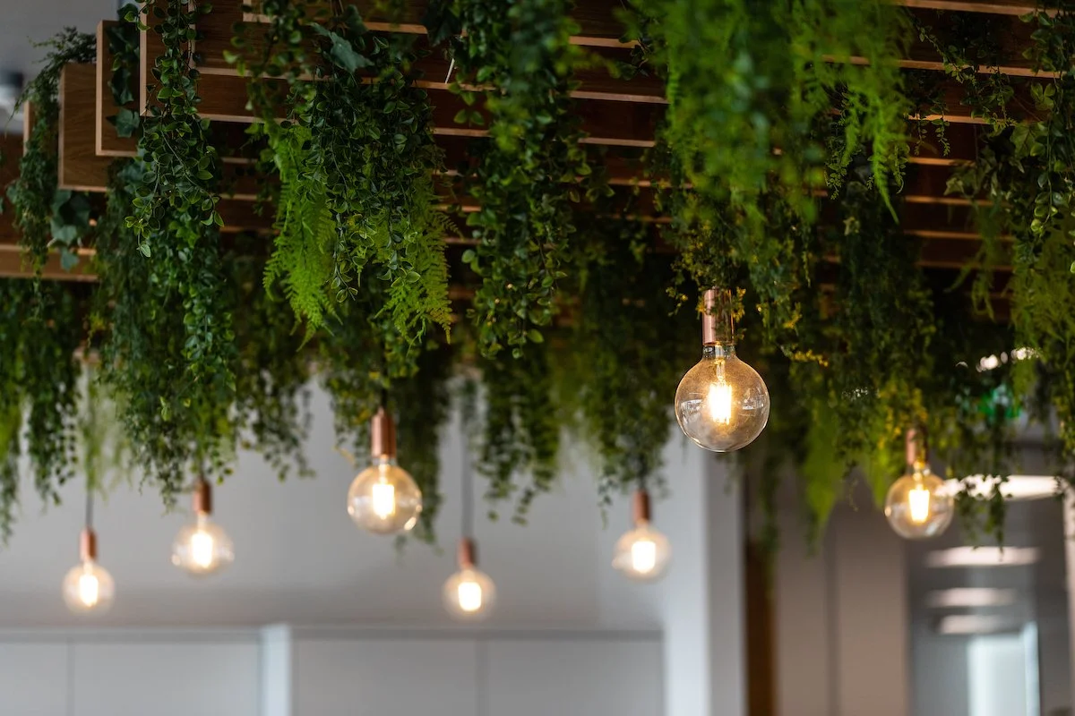 SEB Dublin — Burtt-Jones & Brewer (BJB)