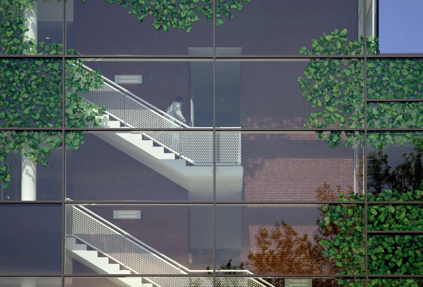 Blog Rietveld Architects: Live From New York