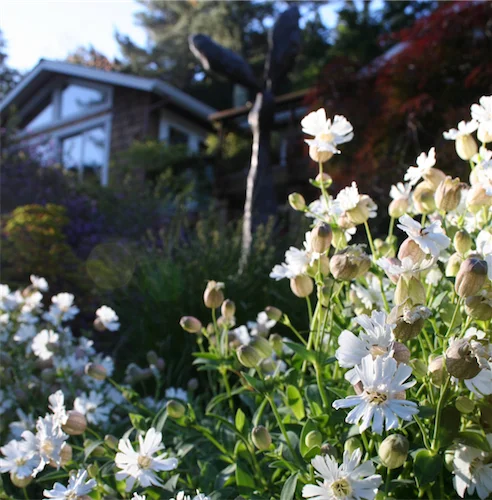 Humanature Landscape Design