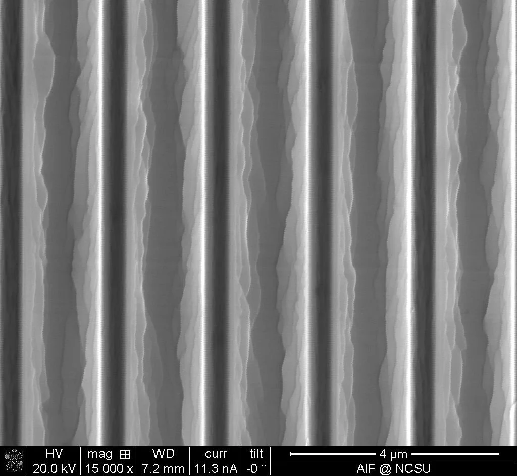 SEM Gallery: Images from Our Work at the Nanoscale — Smart Material ...