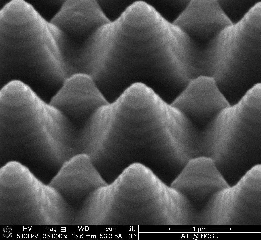 SEM Gallery: Images from Our Work at the Nanoscale — Smart Material ...
