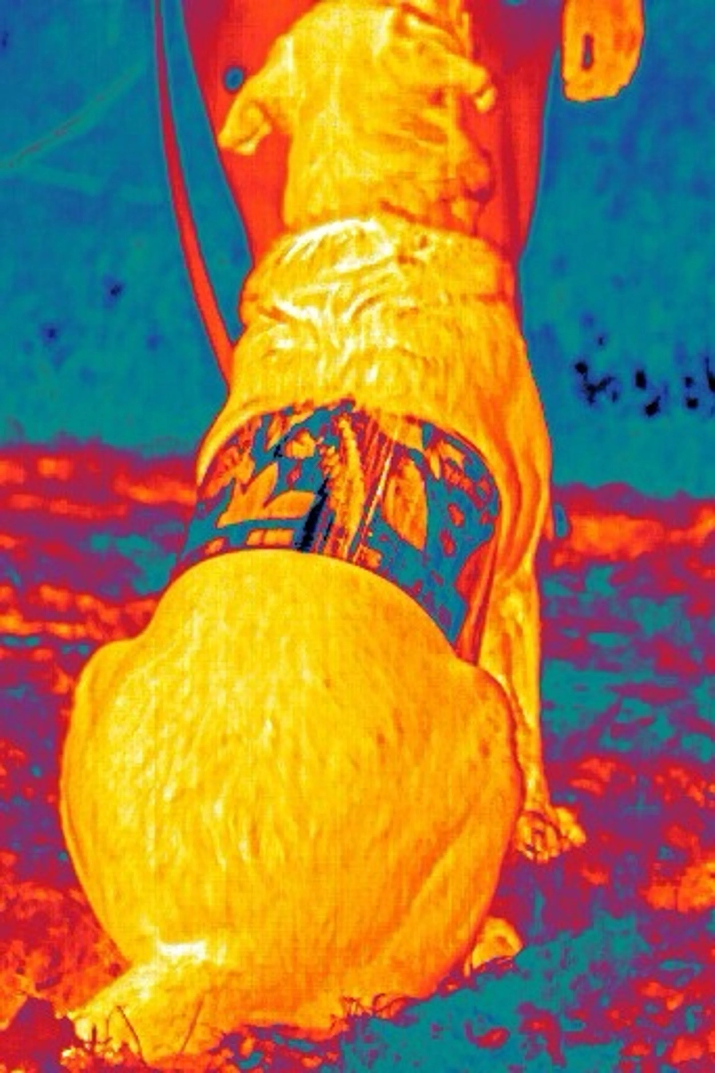 Infrared Camouflage — Smart Material Solutions