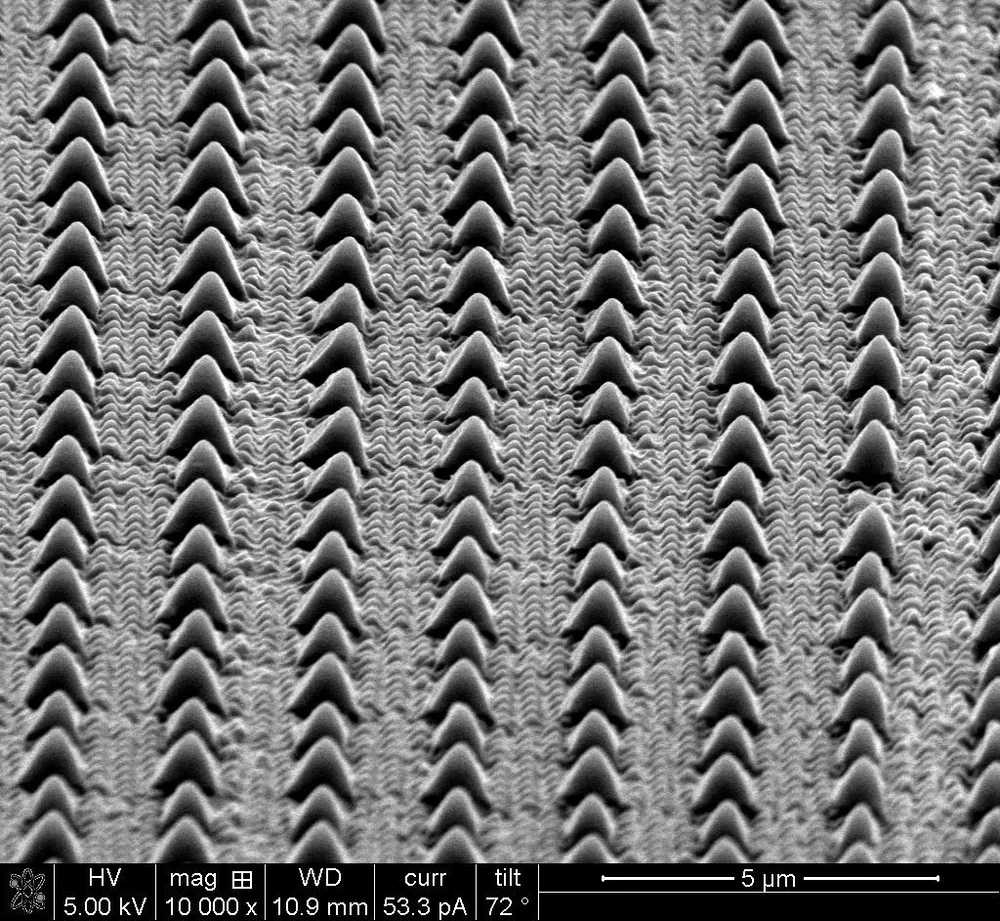SEM Gallery: The Art of Nanoscale Research — Smart Material Solutions
