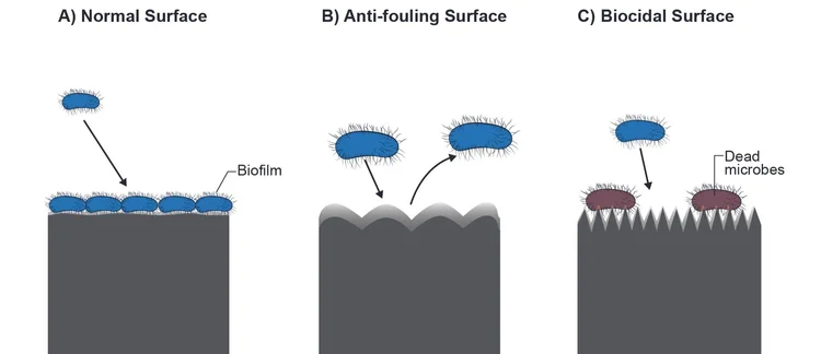 Antimicrobial Surfaces: Battling Bacteria on the Nanoscale — Smart Material Solutions, Inc.