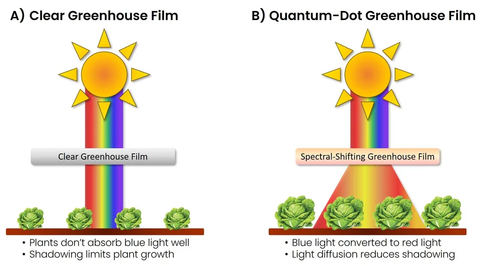 Tiny Patterns, Huge Harvests: How Micropatterns Improve Greenhouse Crop ...