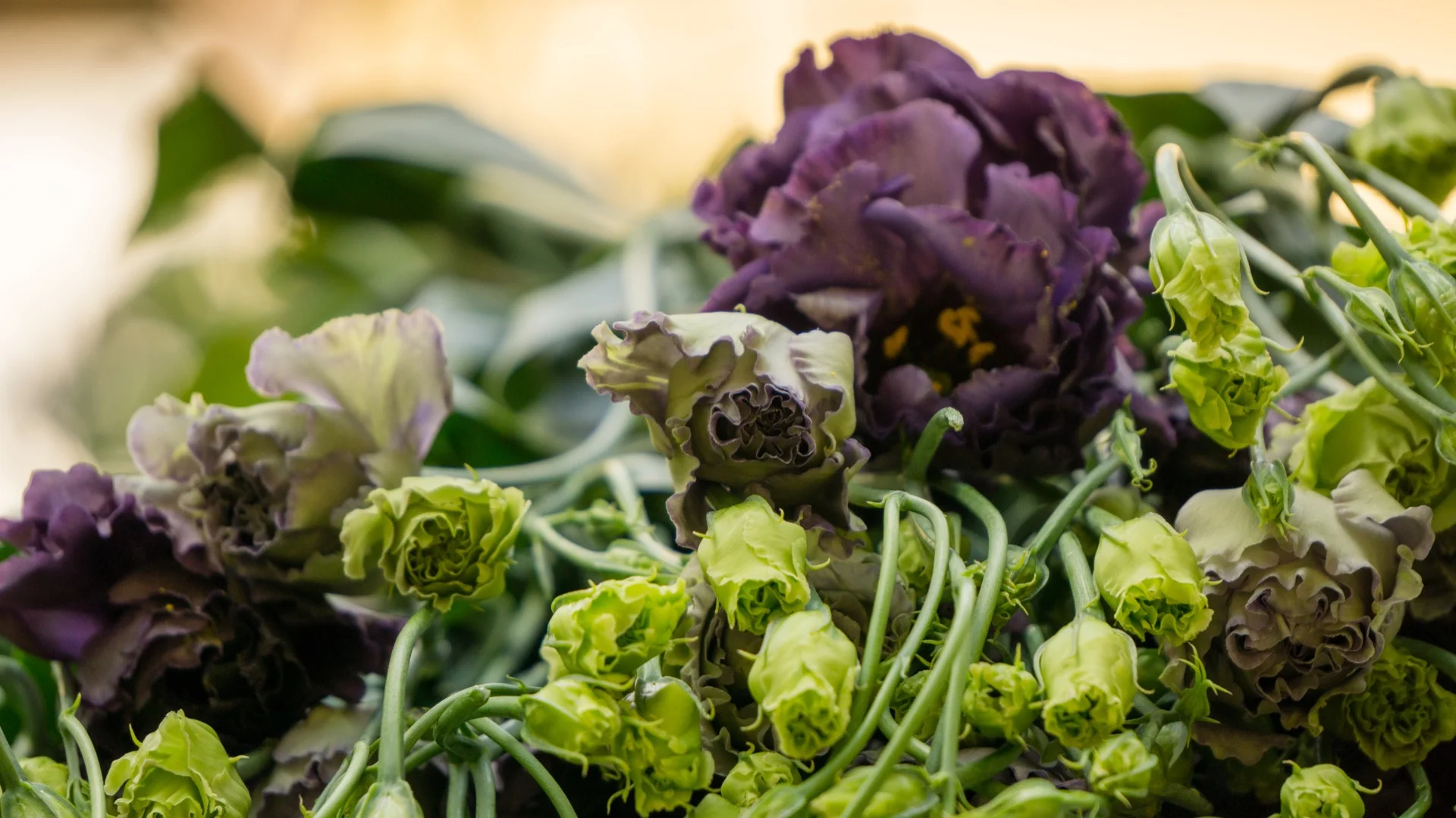 Wedding Catering & Planning — Sidecar Kitchen