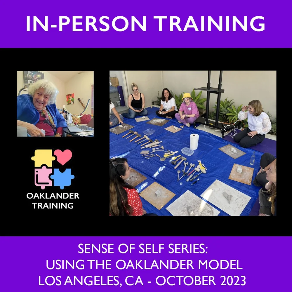 In-Person & Virtual Trainings — OaklanderTraining.org