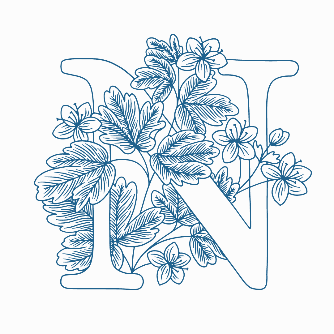 The Story Behind the Name — Nevean