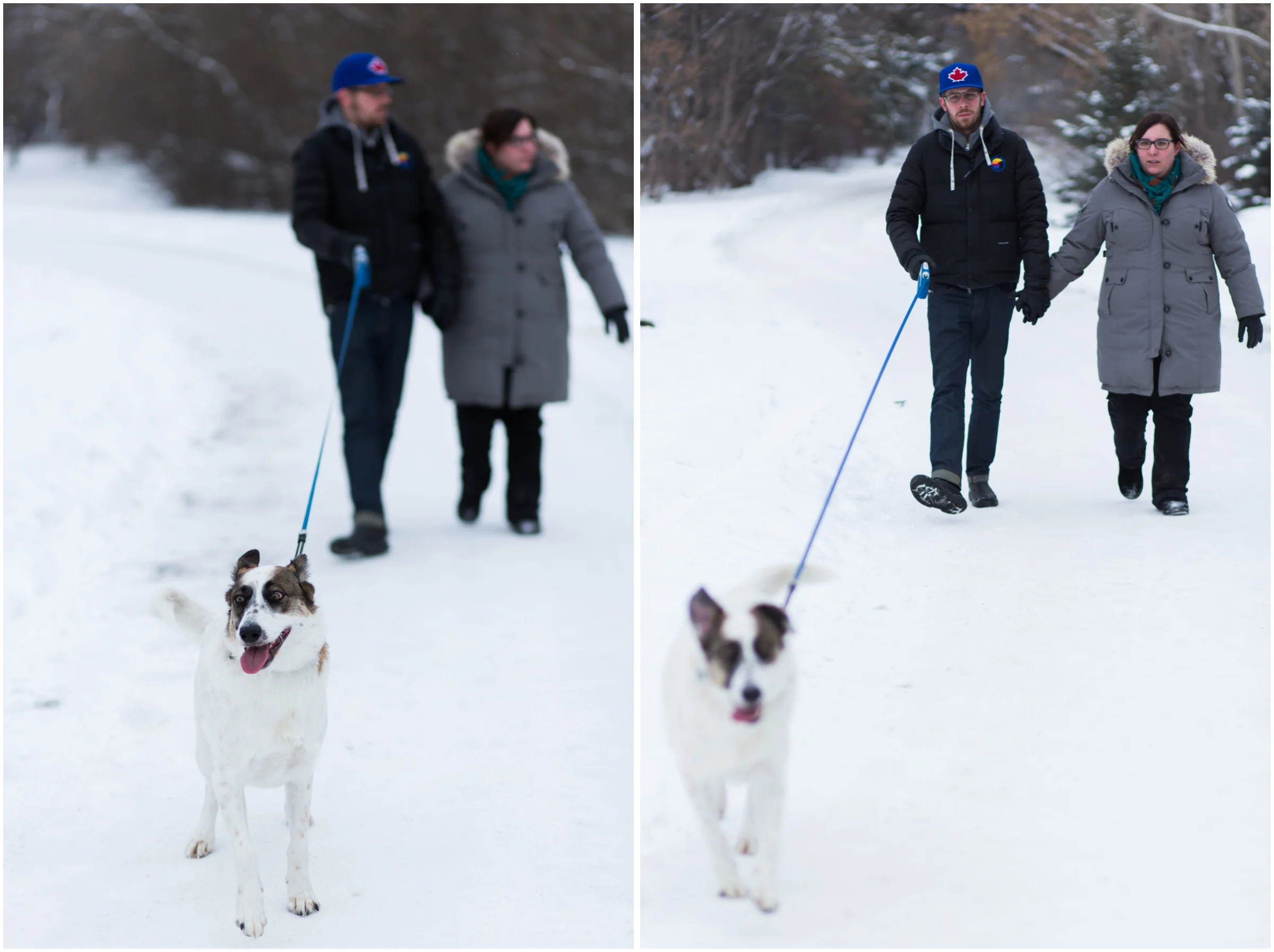 16 : Angie and Steve — Vie par Selena photographie / Life by Selena ...