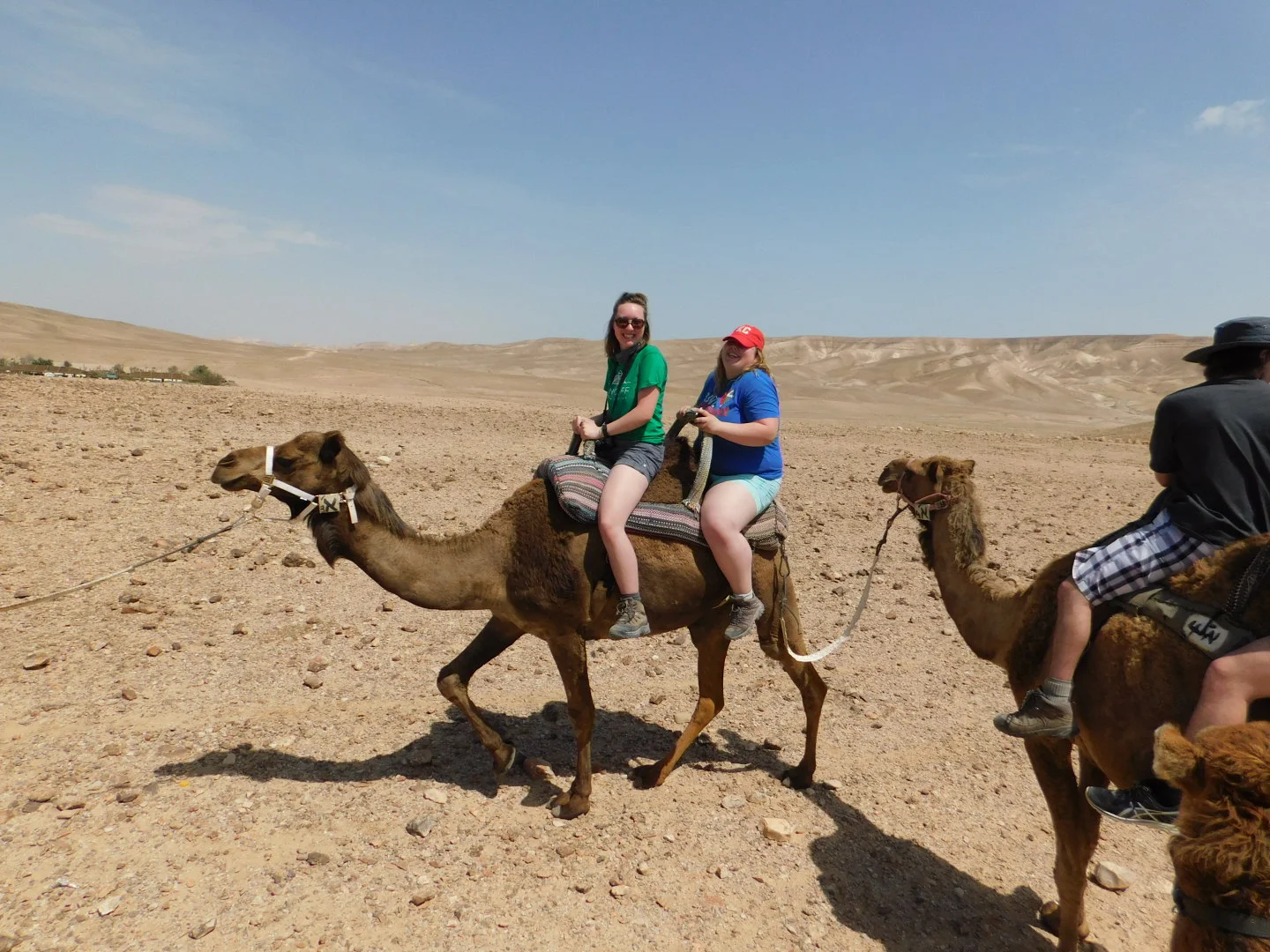 Happy Hump Day from the Interns: Masada, Camels and the Good Samaritan ...