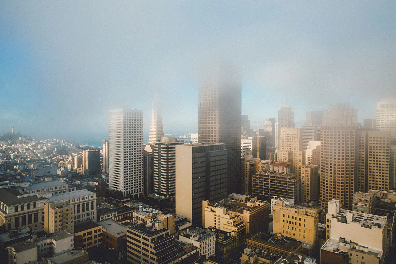 SamAlive — SamAlive