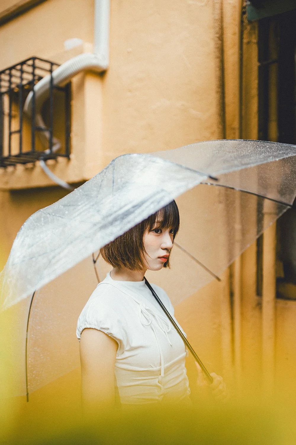 Portrait — SamAlive