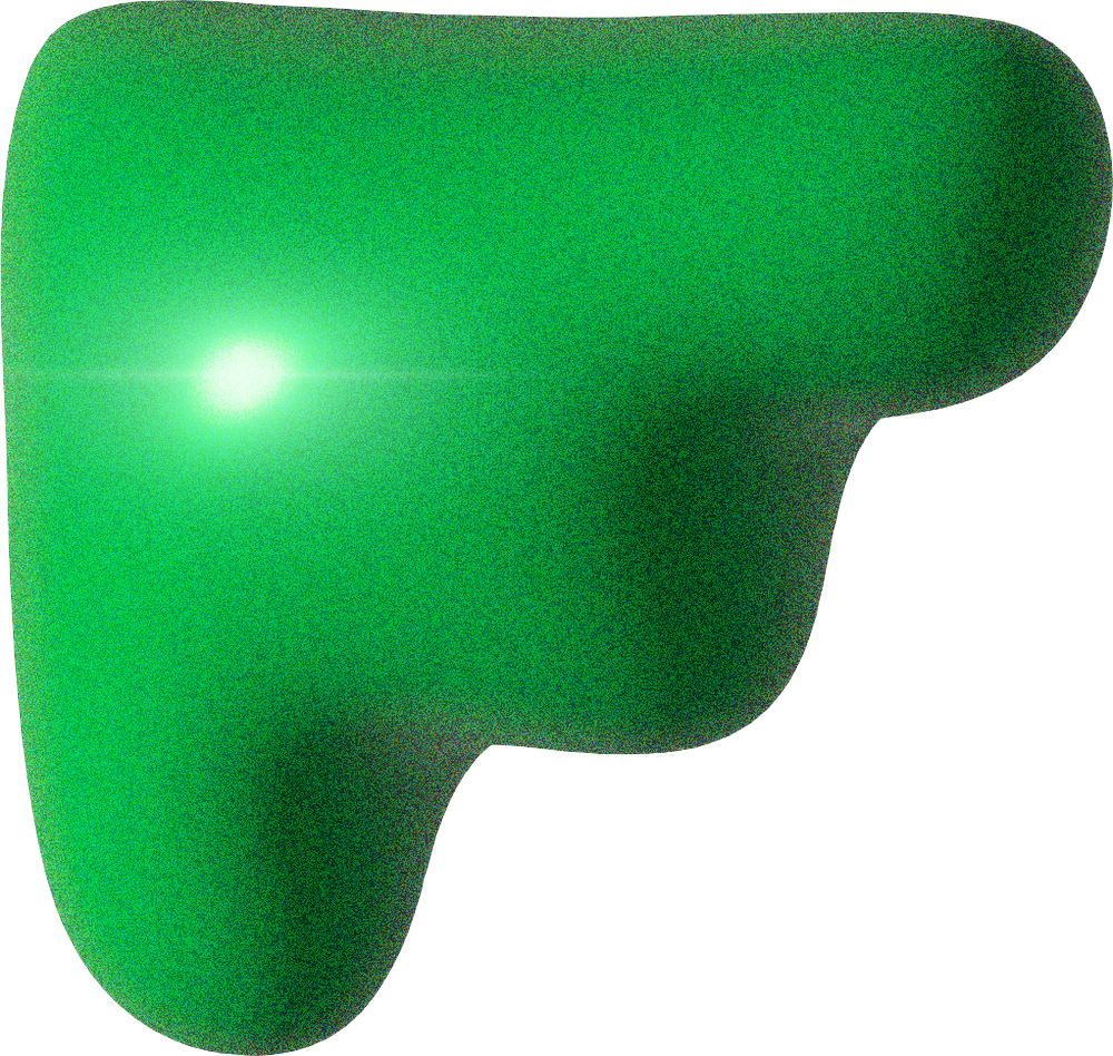 The Meg Lewis Fun House!