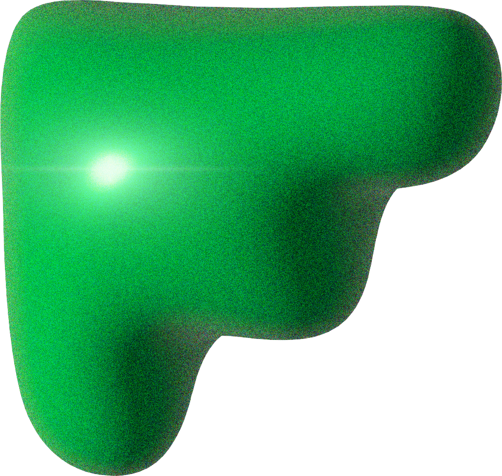 The Meg Lewis Fun House!