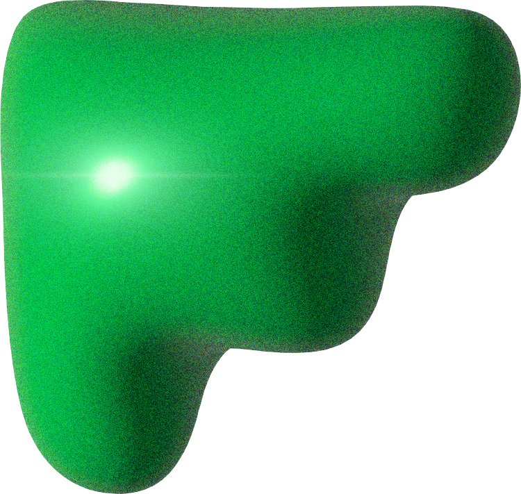 The Meg Lewis Fun House!