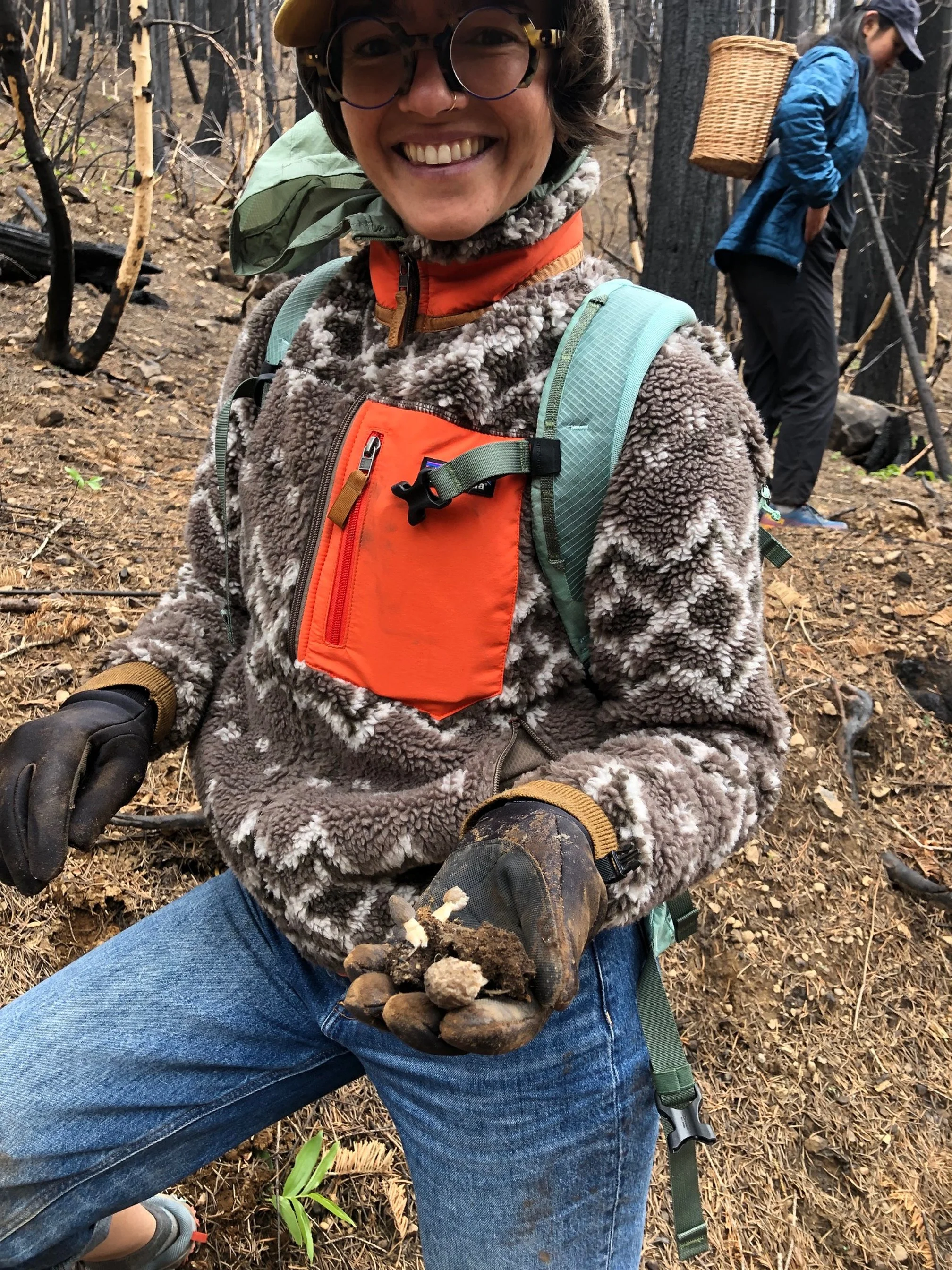 Wild Mushroom Classes
