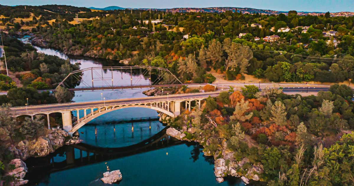Foraging in Folsom: Discovering California’s Native Plants — Book Wild Food Foraging Classes ...