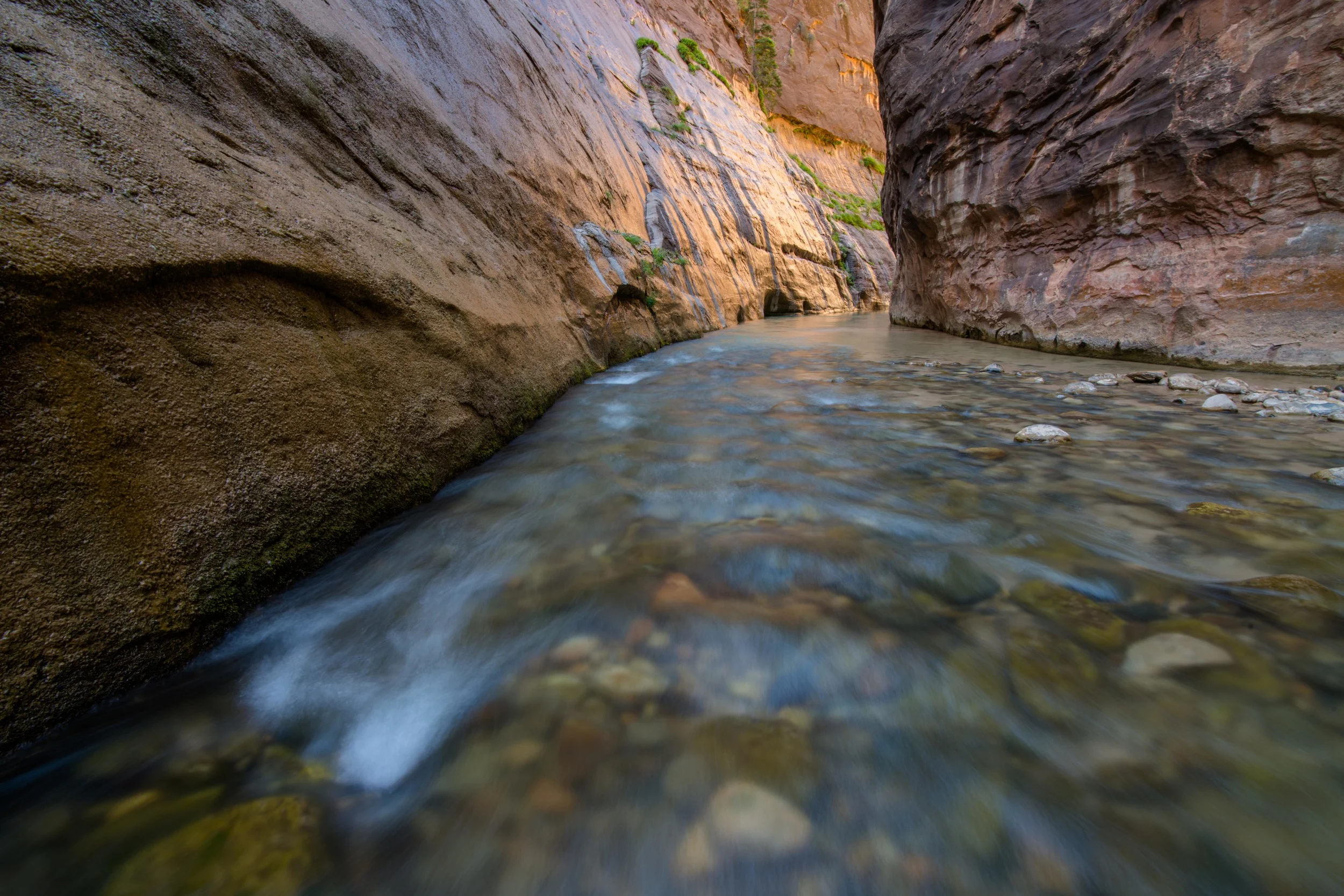 Zion Narrows Photo Tour