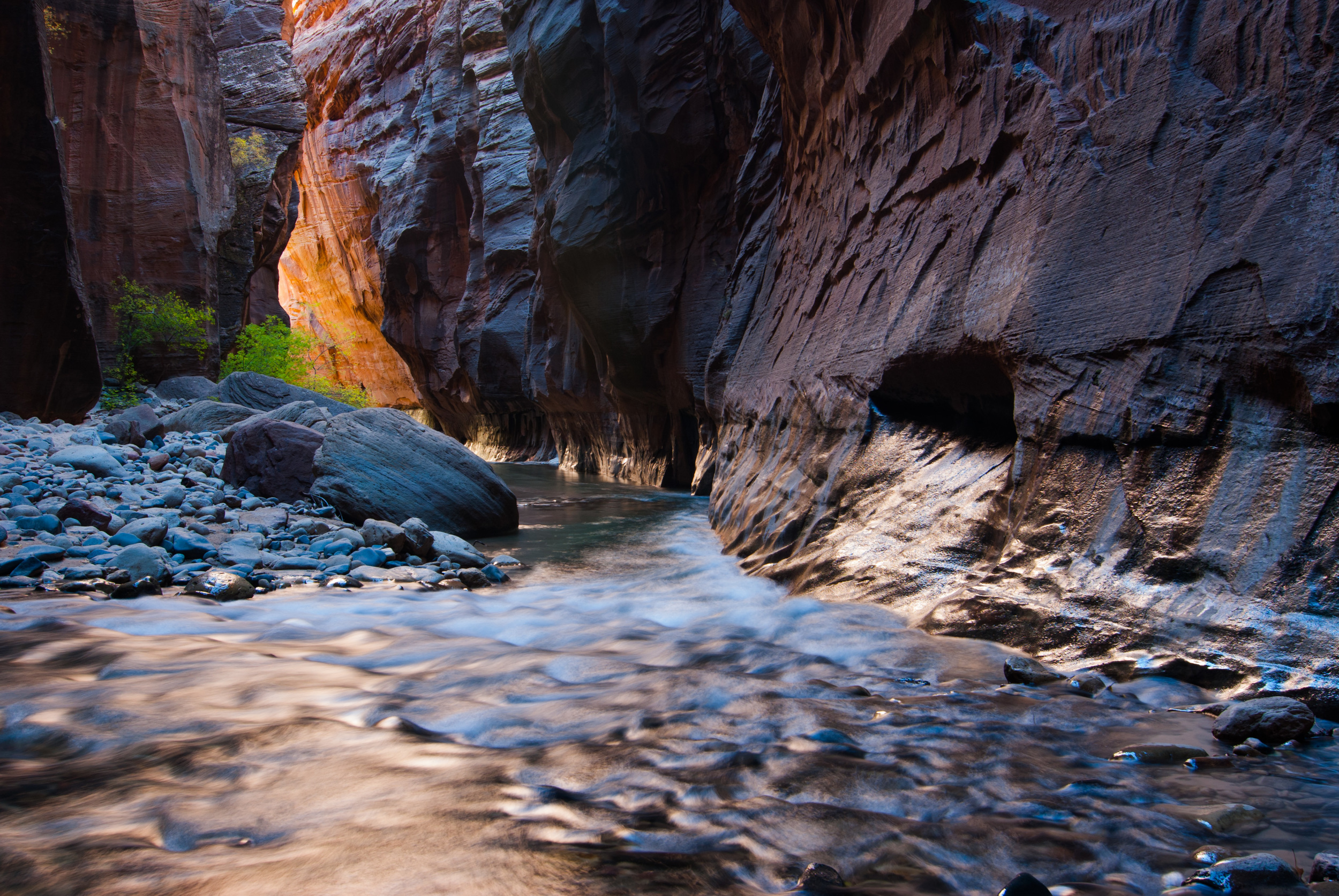 Zion Narrows Photo Tour