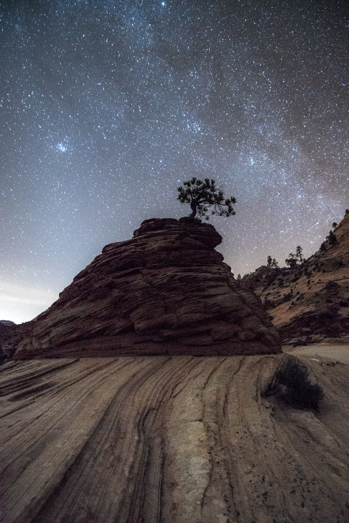 Zion Night Photography Tours