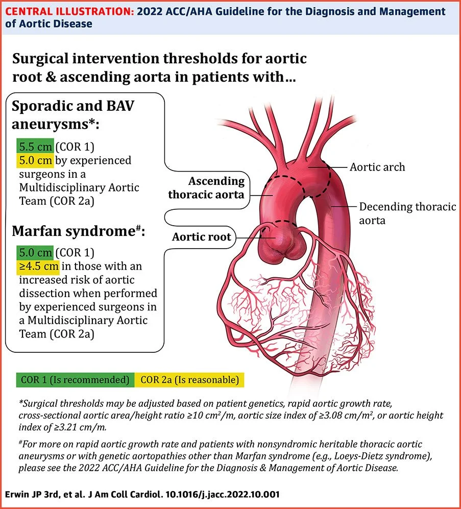 Aortic Aneurysm