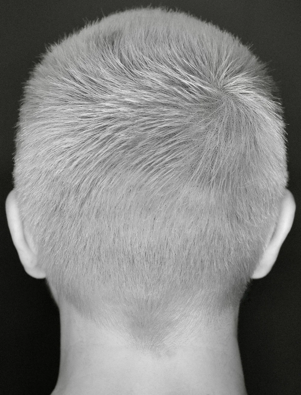 Crew Cut Back View